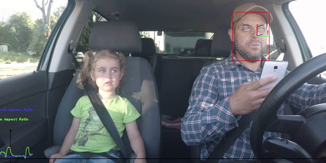 Facial Landmark Tracking Demos | AlgoFace