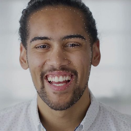 Facial Landmark Tracking Demos | AlgoFace