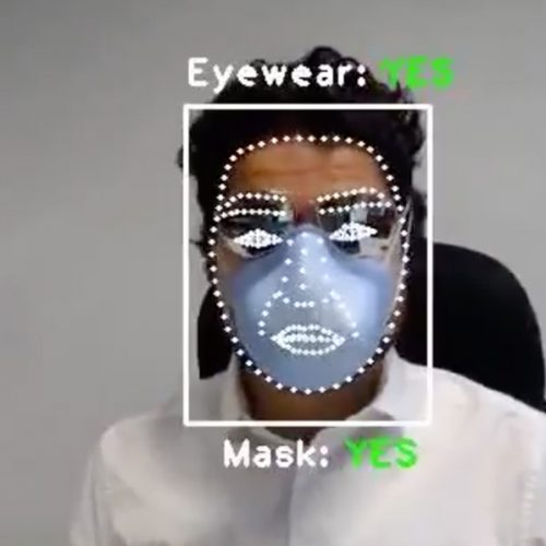 Facial Landmark Tracking Demos | AlgoFace