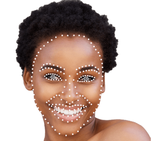 What Are Facial Landmarks and How Are They Used? - AlgoFace